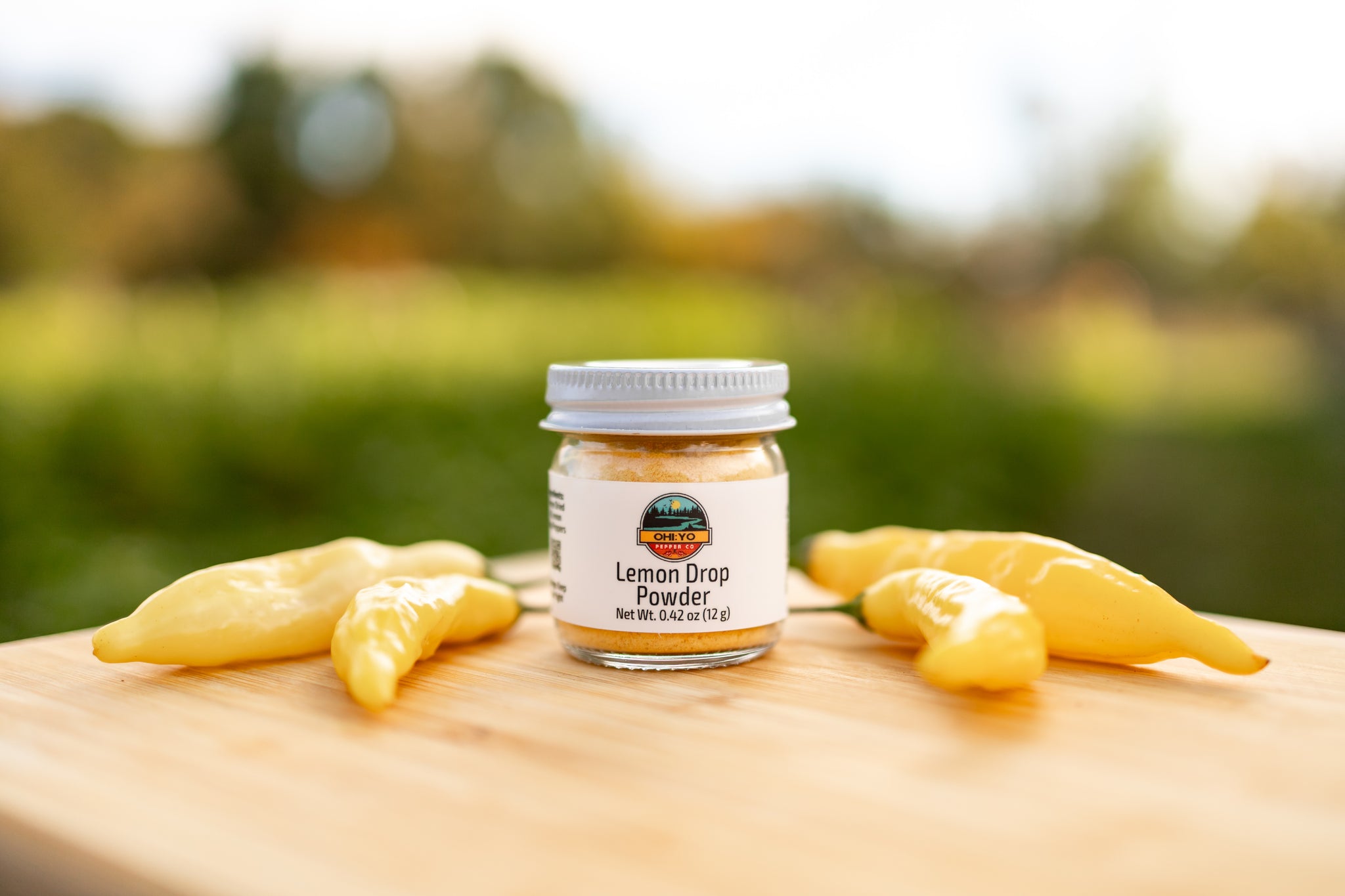 Lemon Drop Powder – Ohi:yo Pepper Co.